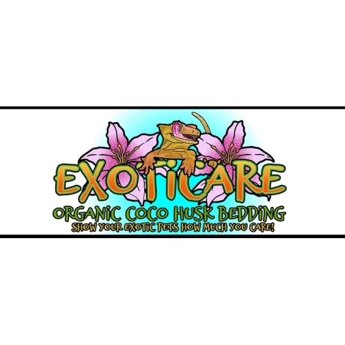 Exoticare Archives - The Exotic Shop