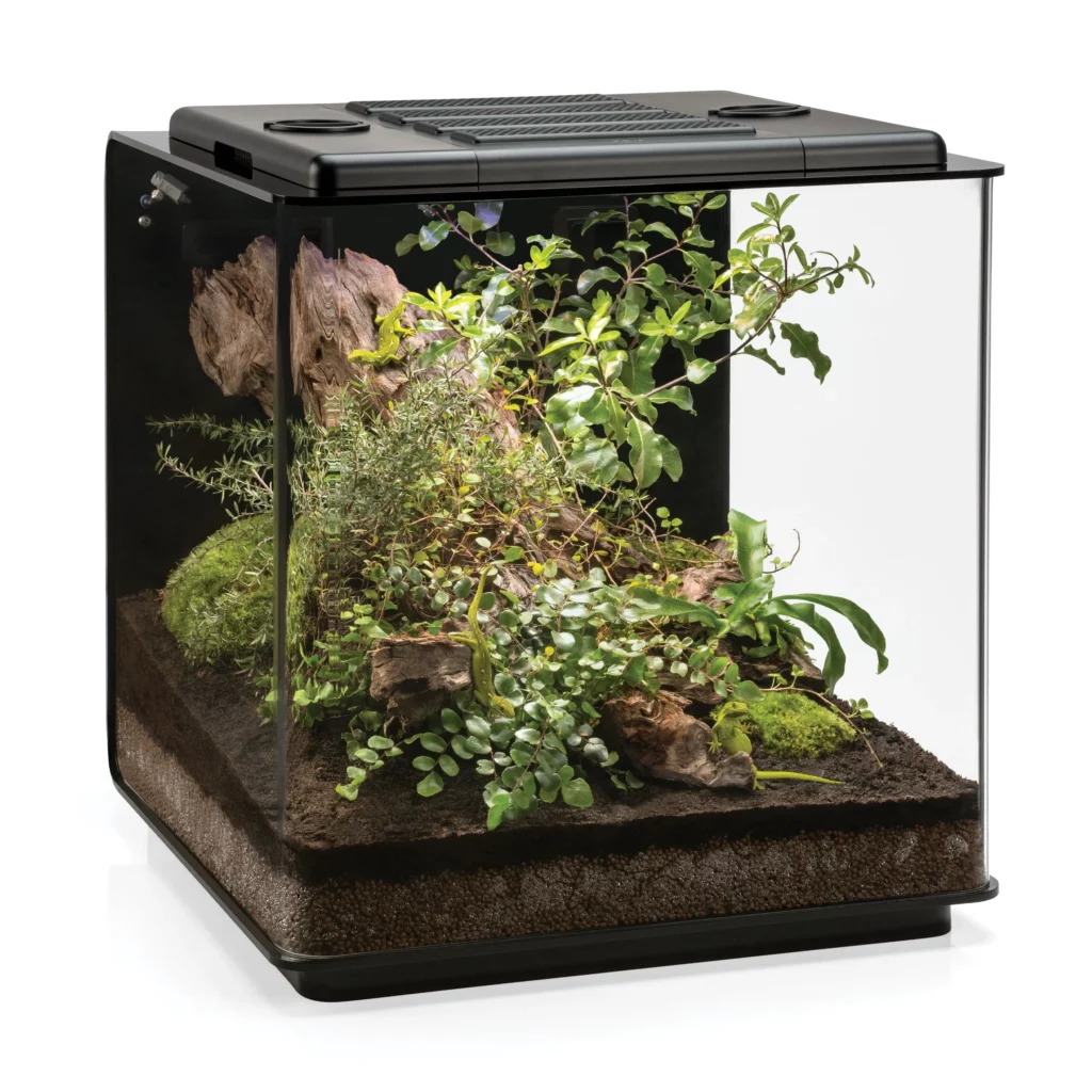 Biorb EARTH 125 Vivarium, All in One - The Exotic Shop