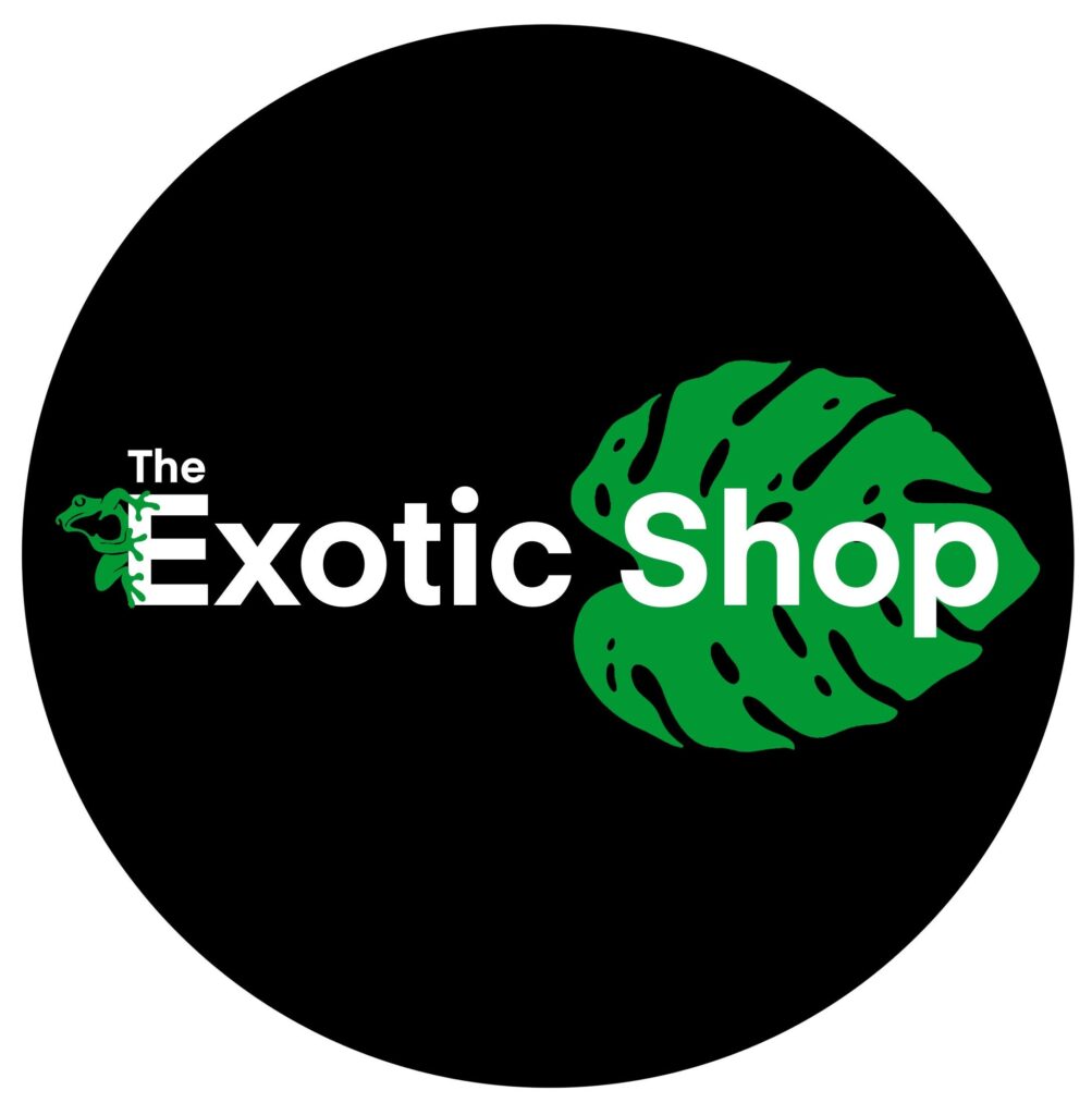 Misting System Parts Archives - The Exotic Shop