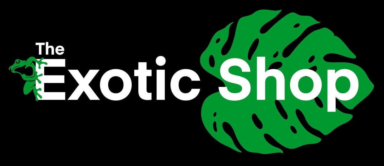Home - The Exotic Shop